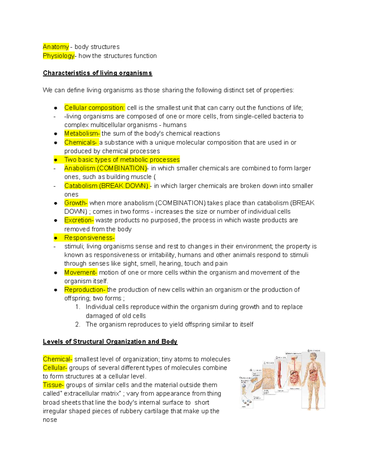Biology Review Sheet: Anatomy & Function of Body Structures - Studocu