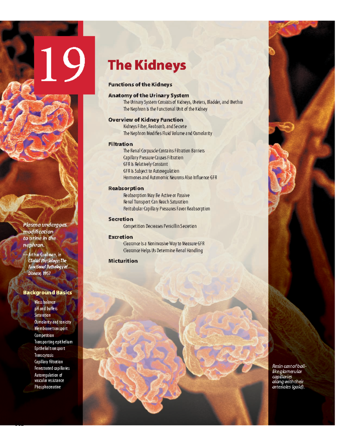 Human Physiology - Chapter 19: The Kidneys and Their Functions ...