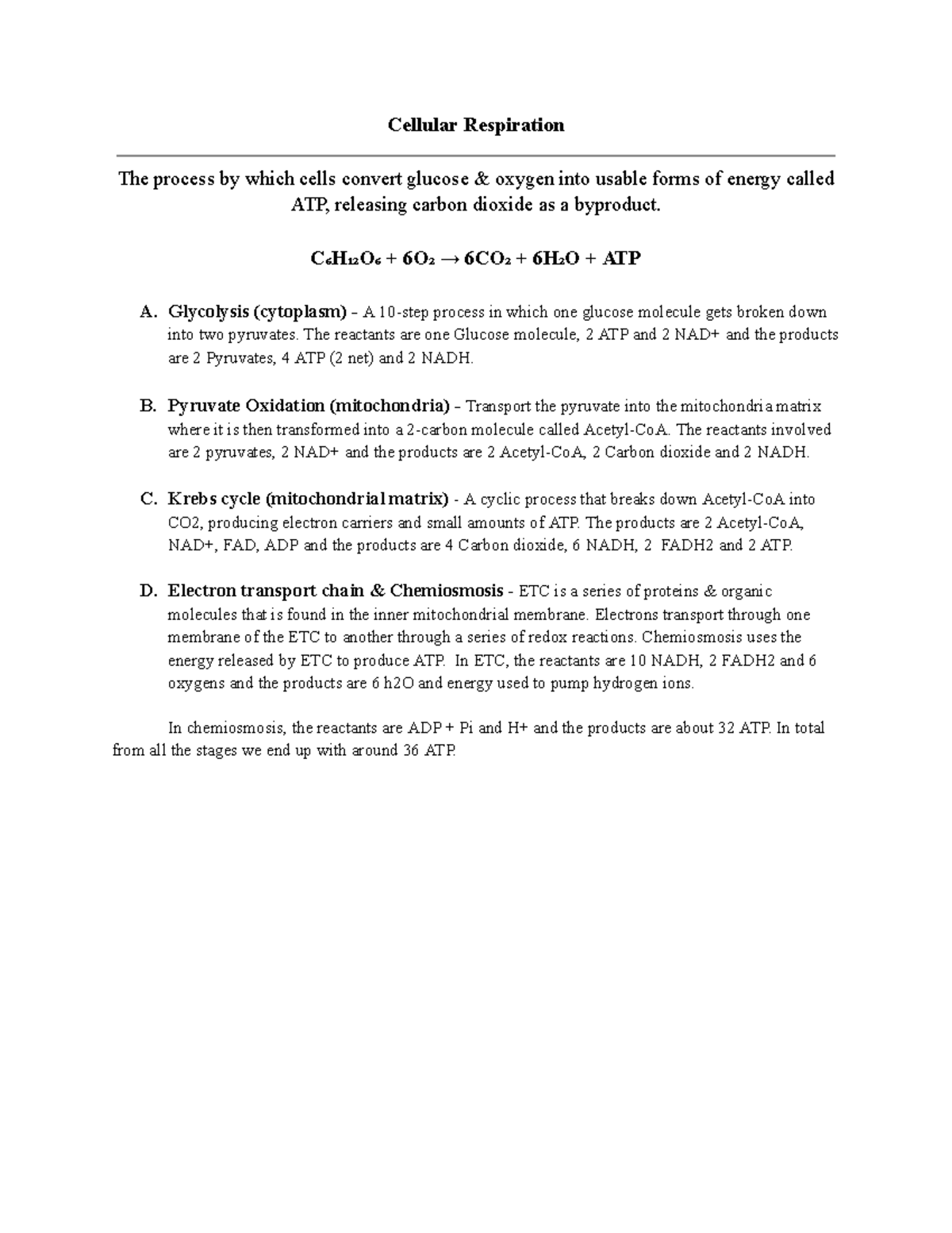 Biology 101: Cellular Respiration Process Overview - Studocu
