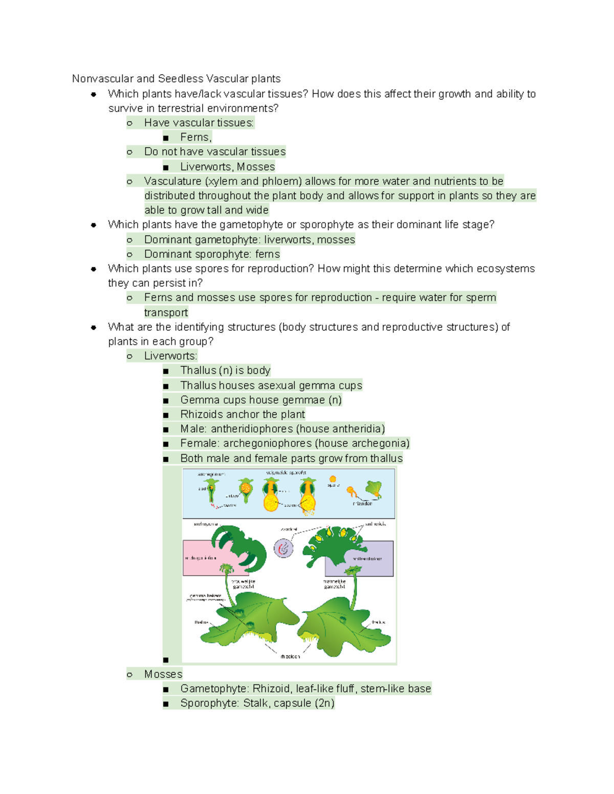 BIOL 211 - Lab Exam 2 Study Guide on Nonvascular and Seedless Vascular ...