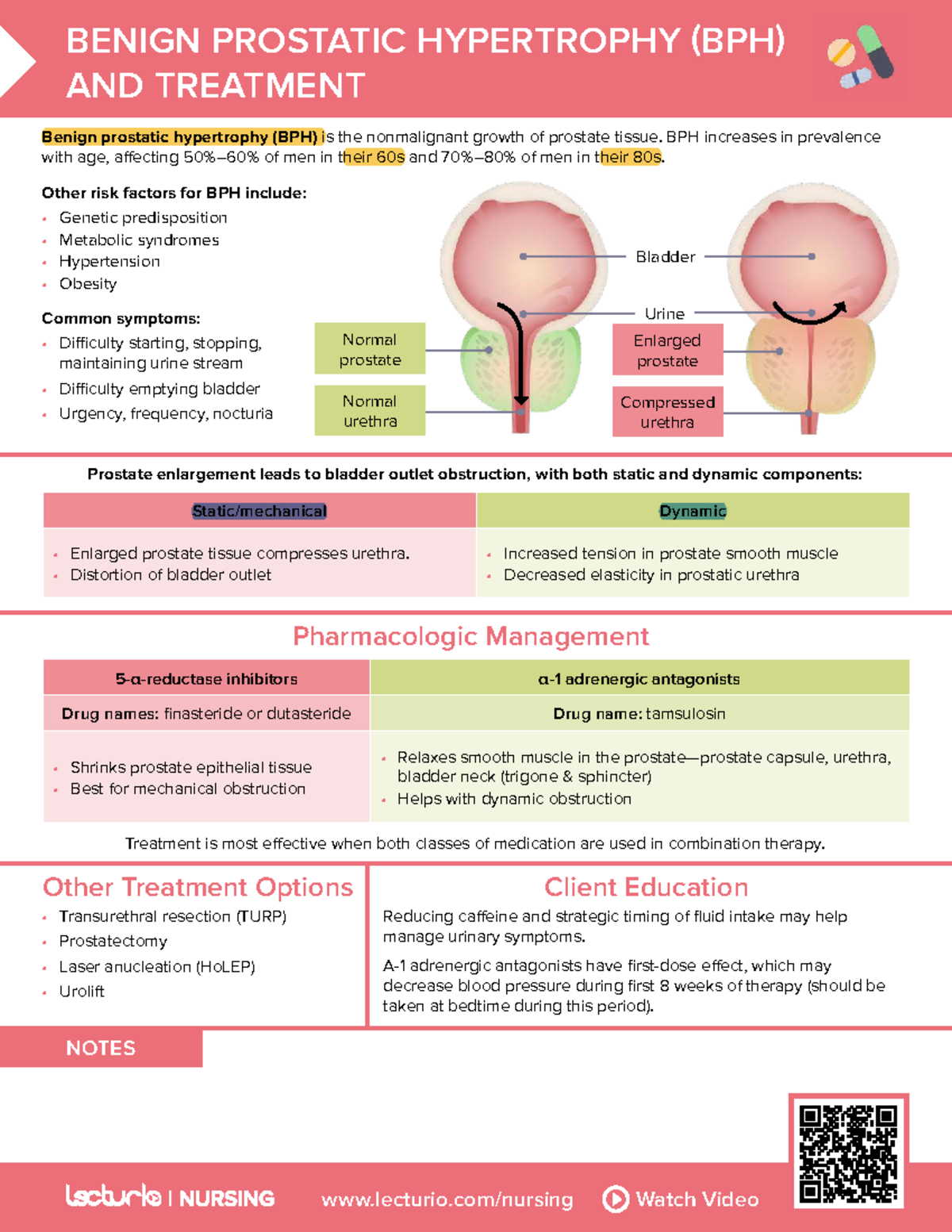 Nursing CS: Benign Prostatic Hypertrophy (BPH) & Treatment Notes - Studocu