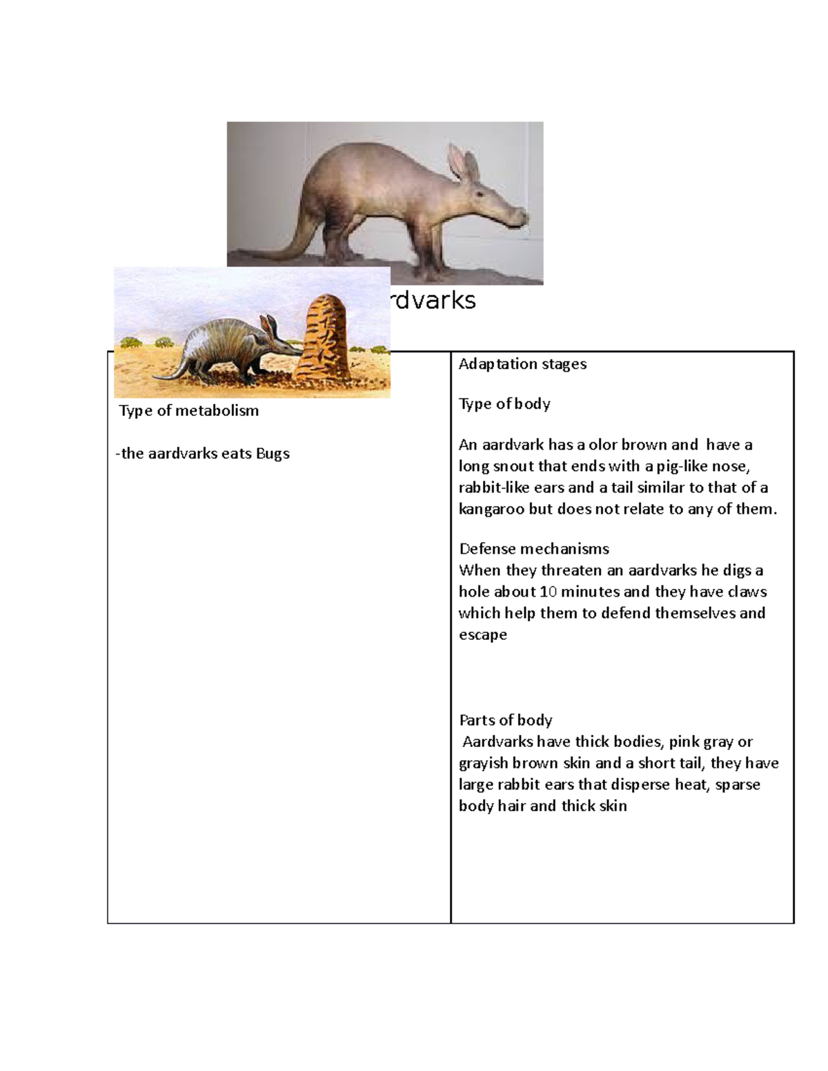 EVD 1 - Aardvarks: Adaptations, Growth, and Life Cycle Insights - Studocu