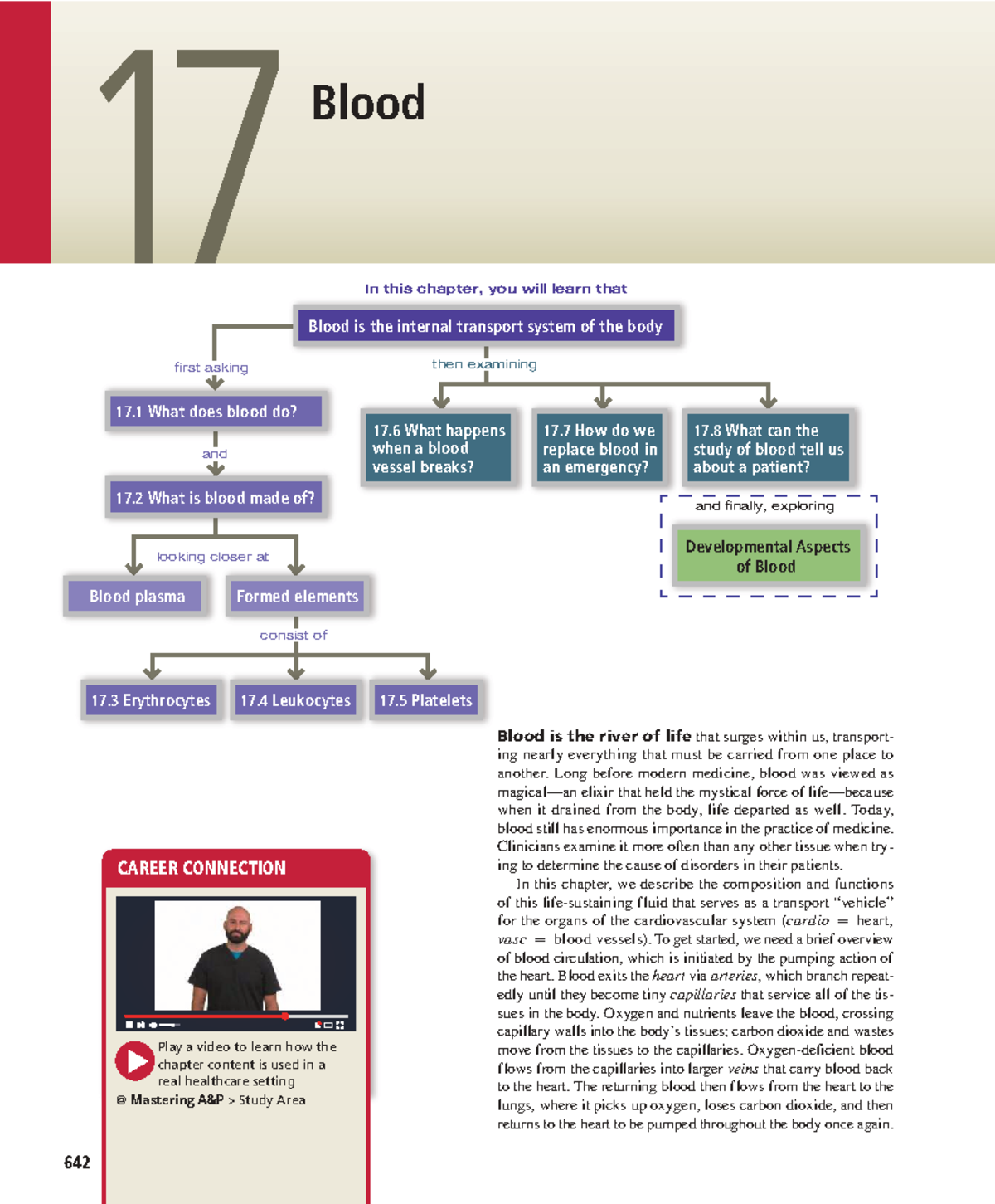 Chapter 17: Developmental Aspects of Blood - Studocu