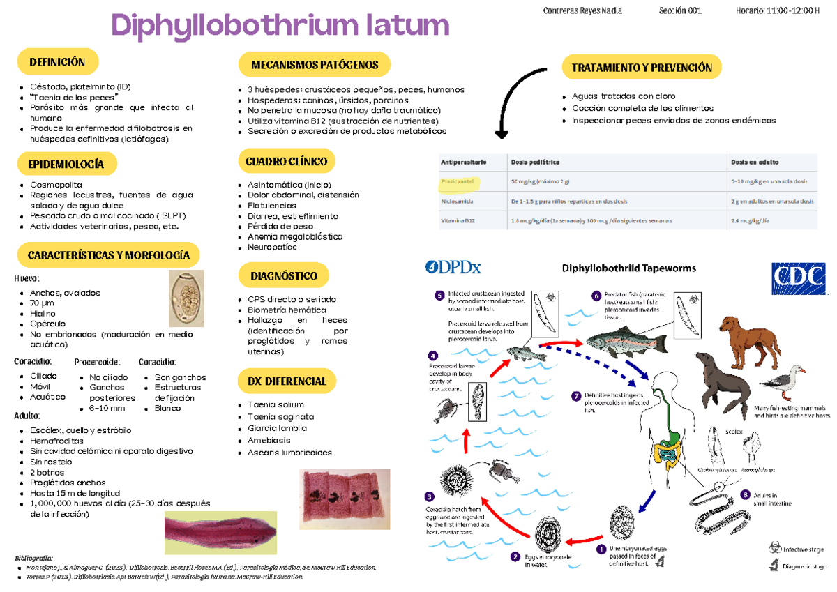 NCR Diphyllobotrium latum - MECANISMOS PATÓGENOS 3 huéspedes ...
