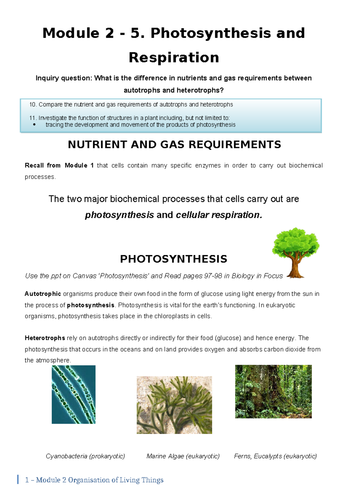 Module 2: Photosynthesis and Respiration Overview (2024) - Studocu