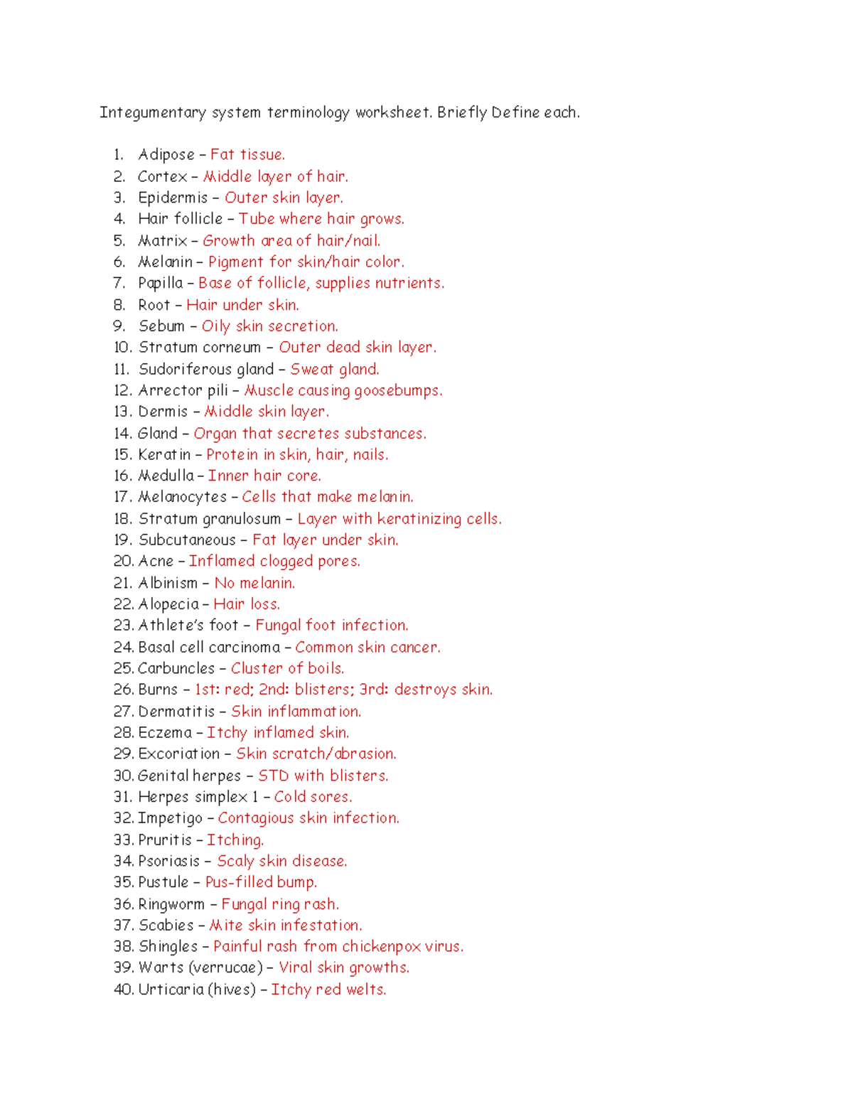 Integumentary System Terminology Worksheet: Key Definitions - Studocu