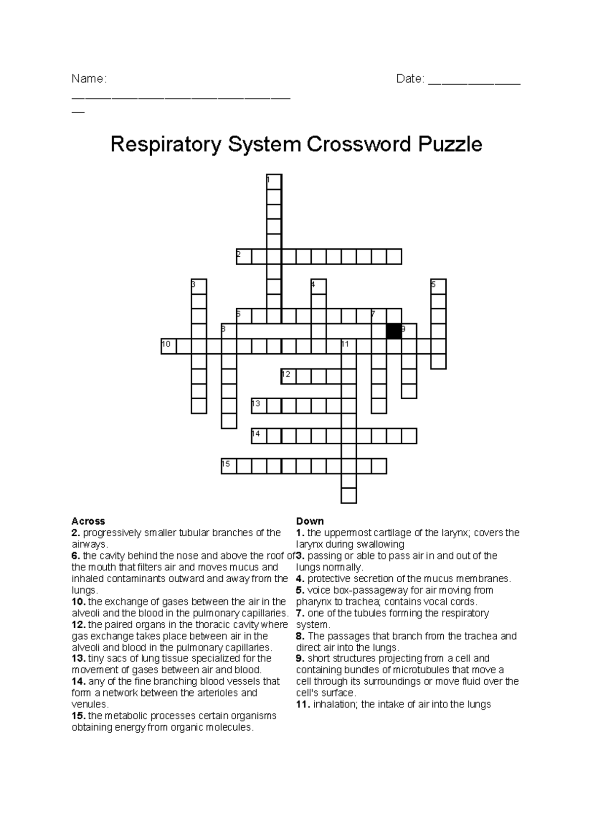 Respiratory System Crossword Puzzle - Quiz 4B1FD - Studocu