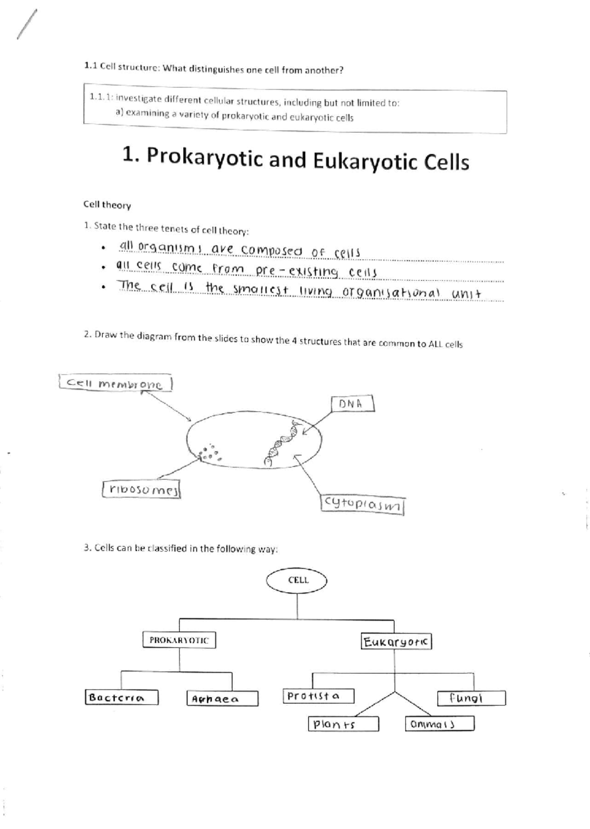 BIO 101: Cell Structure & Comparison of Prokaryotic and Eukaryotic Cells - Studocu