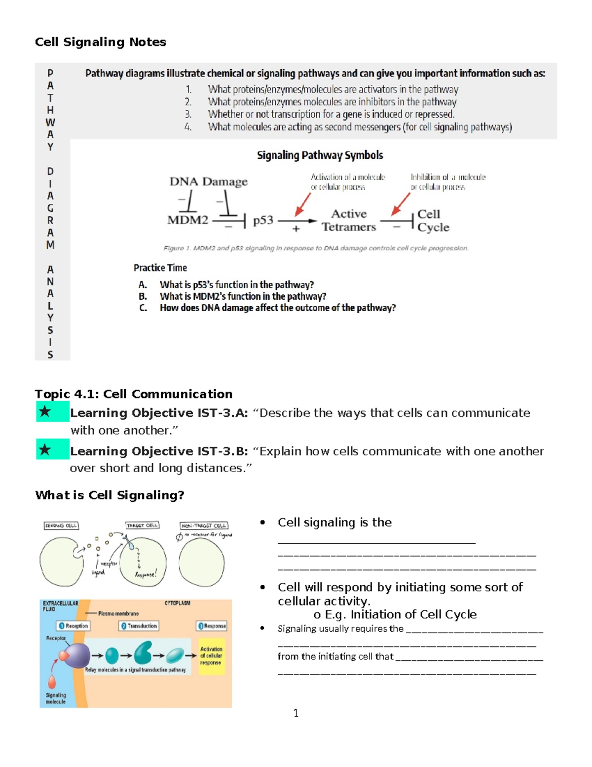 4.3 Cell Signaling Fill-In Notes - Cell Signaling Notes Topic 4: Cell ...