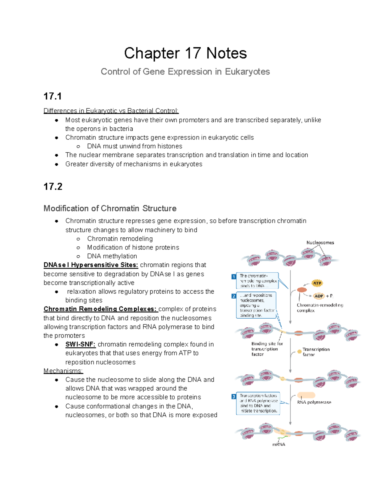 Chapter 17: Control of Gene Expression in Eukaryotes (Biology 101 ...