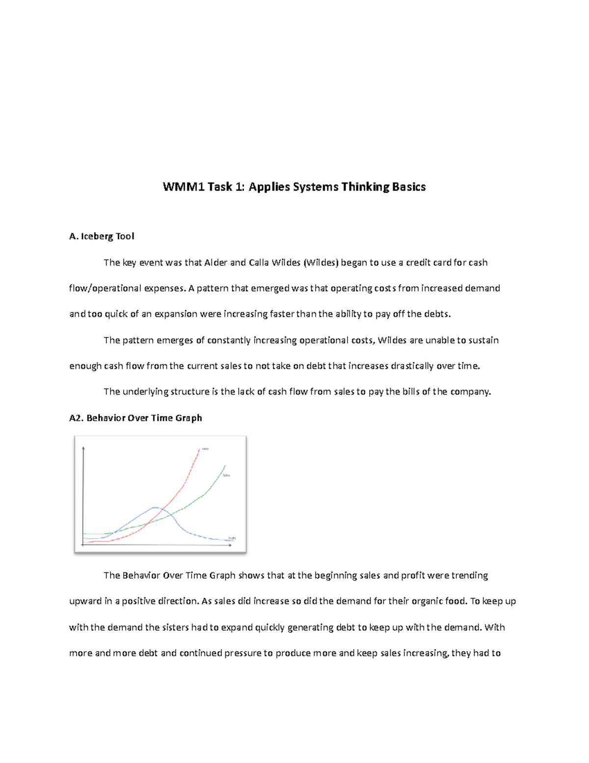 D372 WMM1 Task 1: Analyzing Systems Thinking in Business Expansion - Studocu