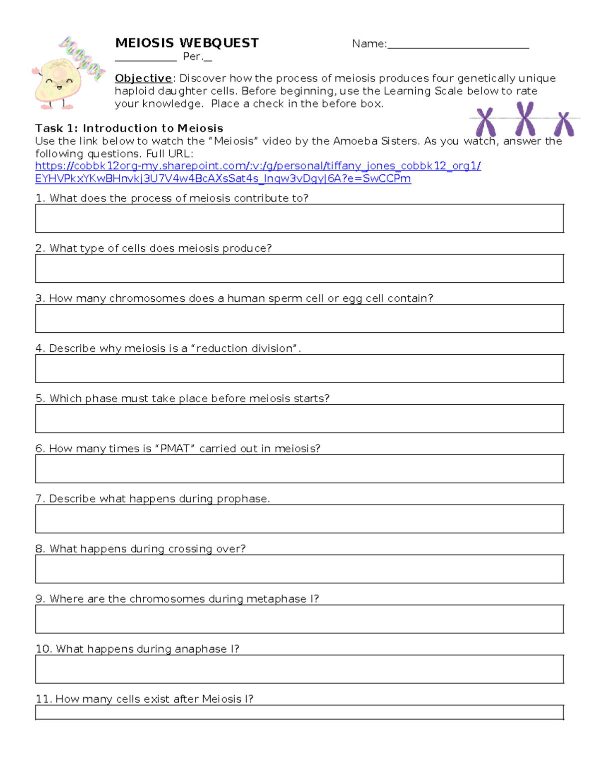 Meiosis Web Quest Student Handout: Understanding Genetic Diversity ...
