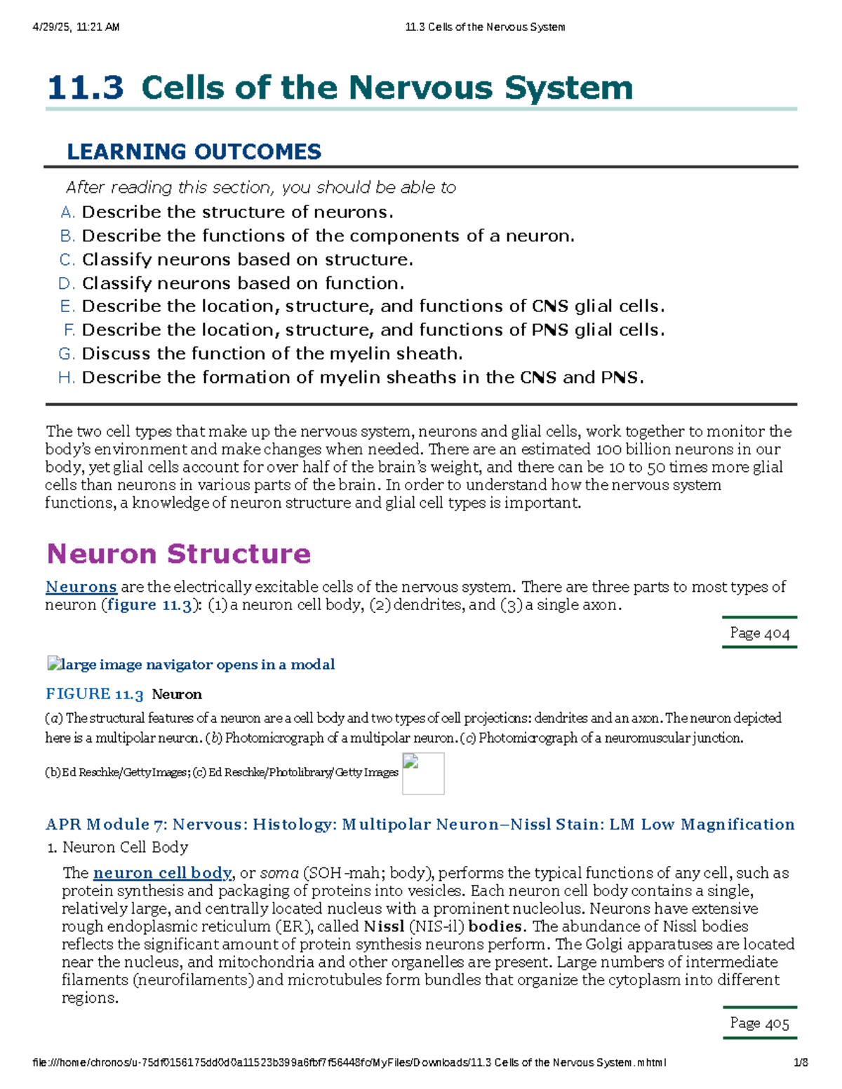 Nervous System Cells: Structure & Functions Overview (CBPbp7Kg) - Studocu