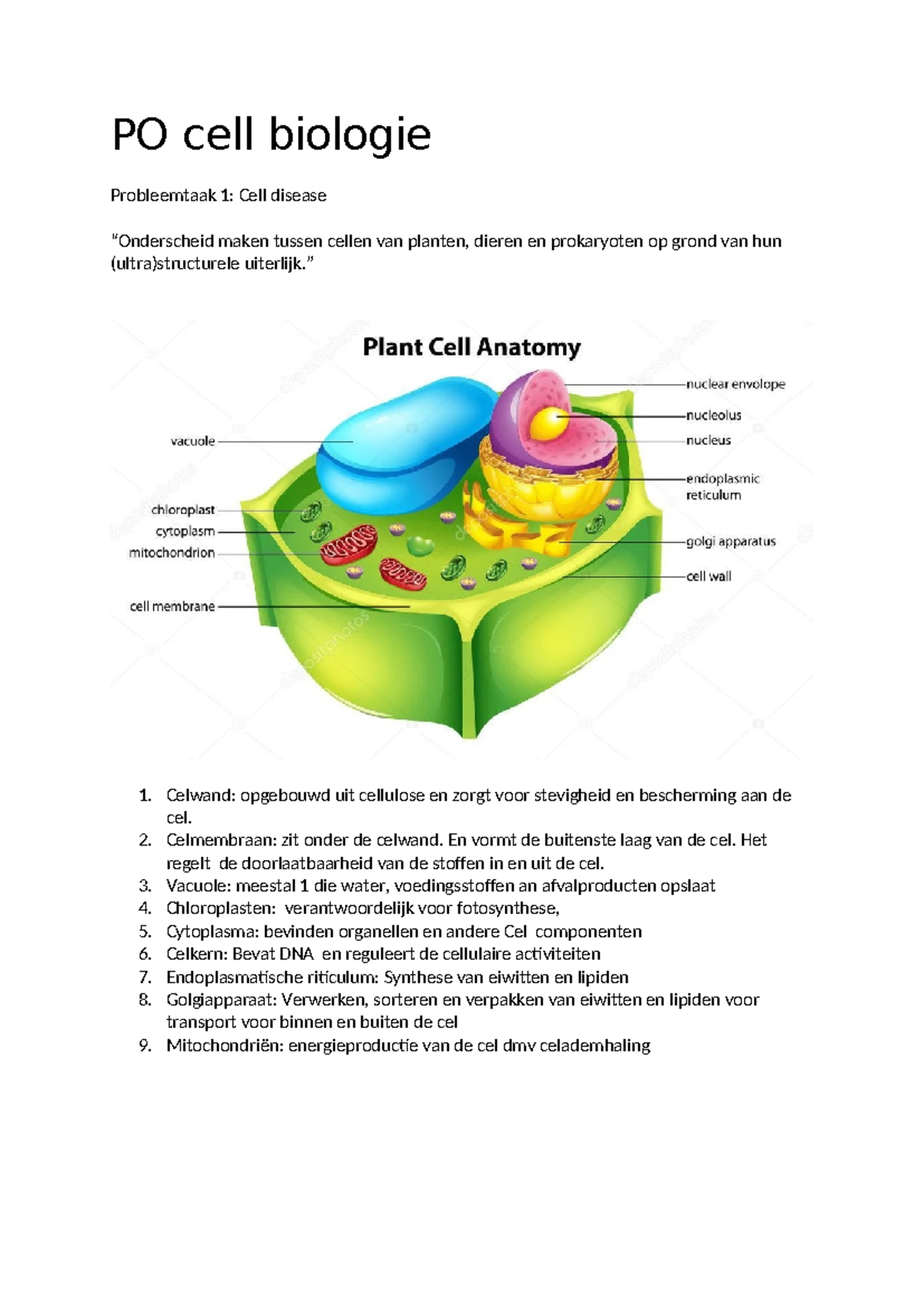 PO Cell Biologie Probleemtaak 1: Vergelijking van Celstructuren ...