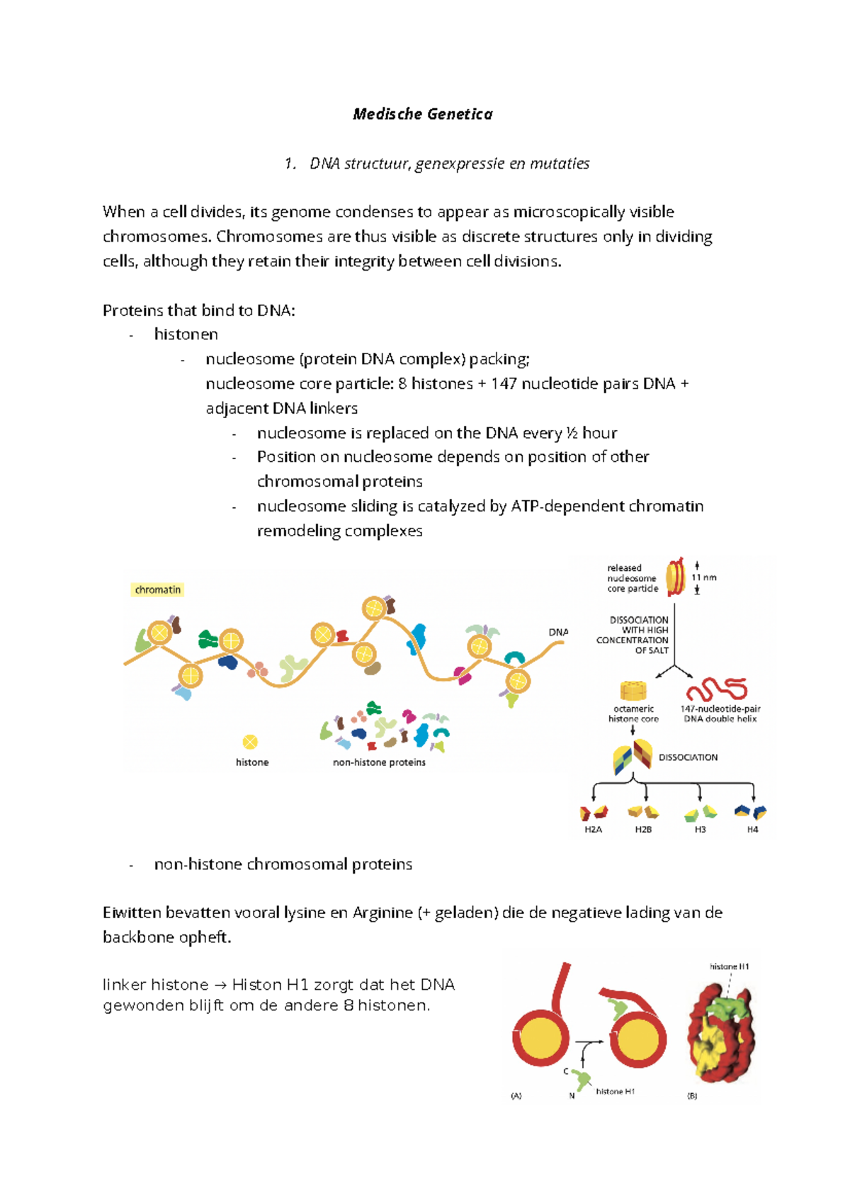 Medische Genetica: DNA Structuur, Genexpressie en Mutaties Samenvatting ...