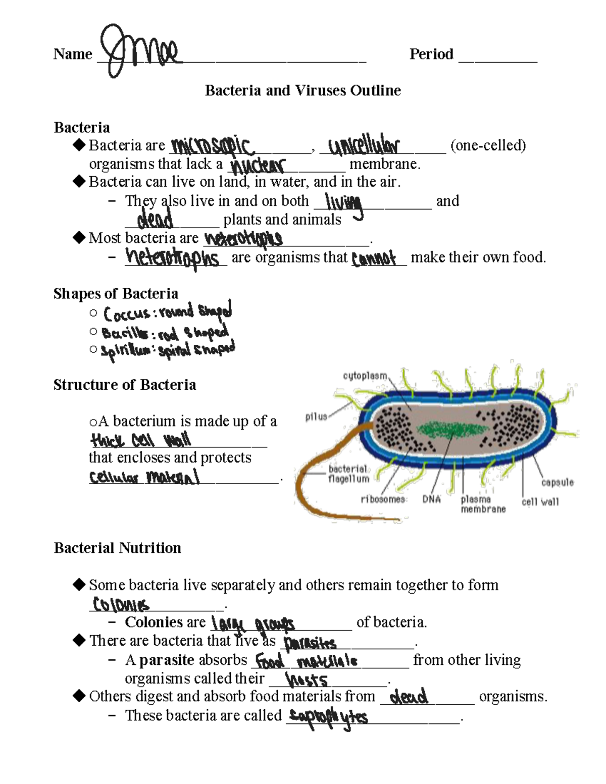 Bacteria notes - Name __________________________________ Period ...