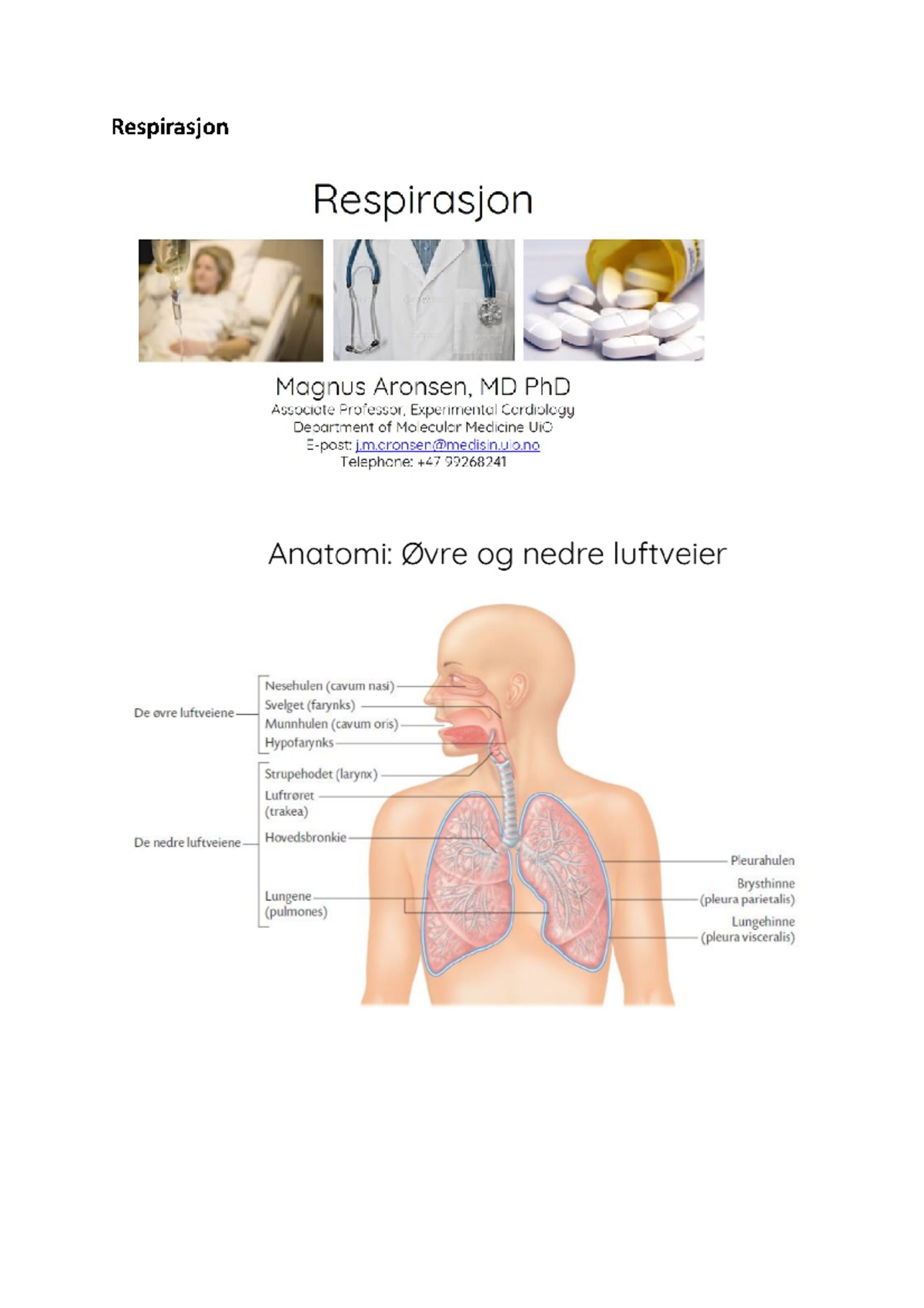 Respirasjon: Grunnleggende Begreper og Anatomiske Strukturer - Studocu