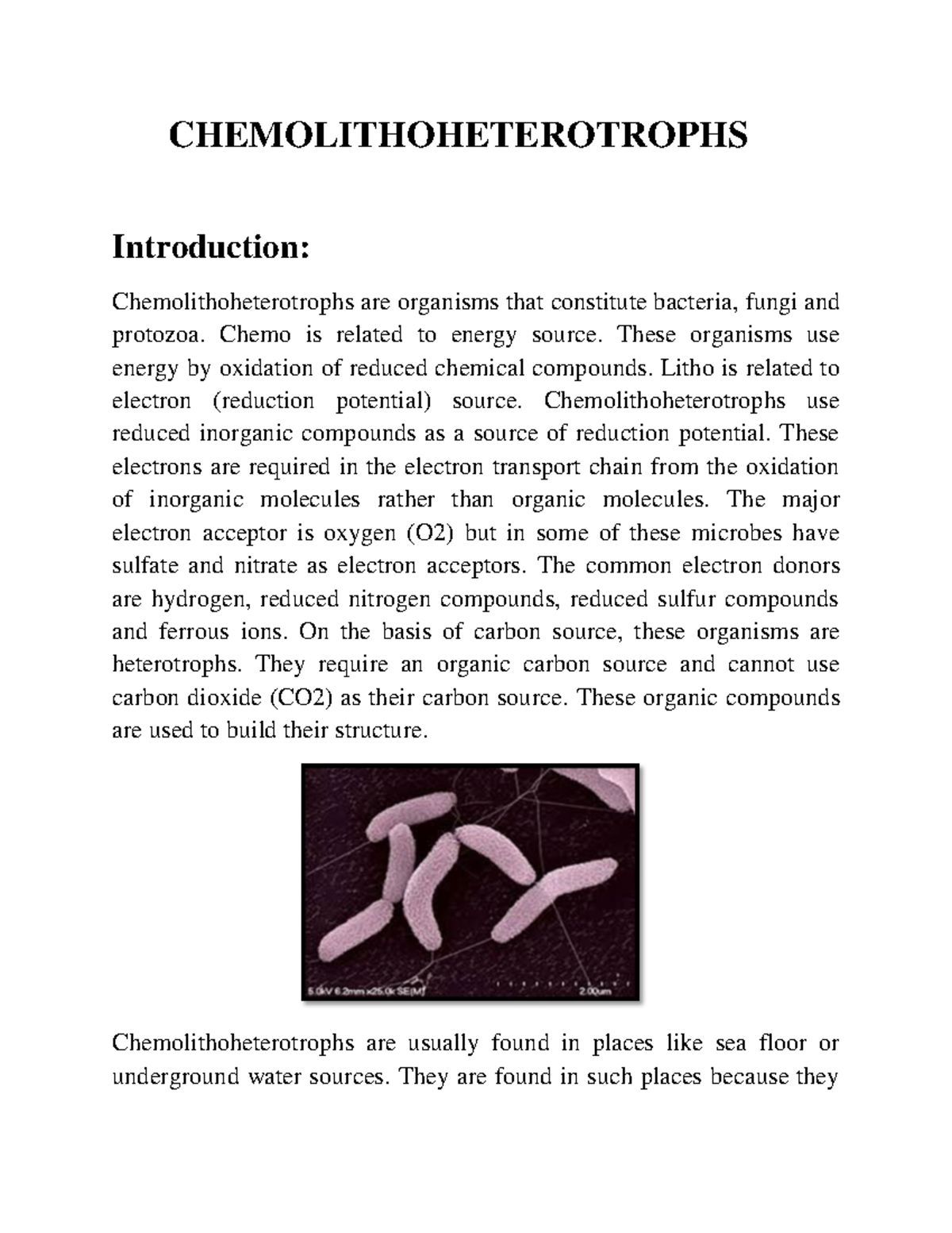 Chemolithoheterotrophs: Characteristics, Habitat, and Examples - Studocu