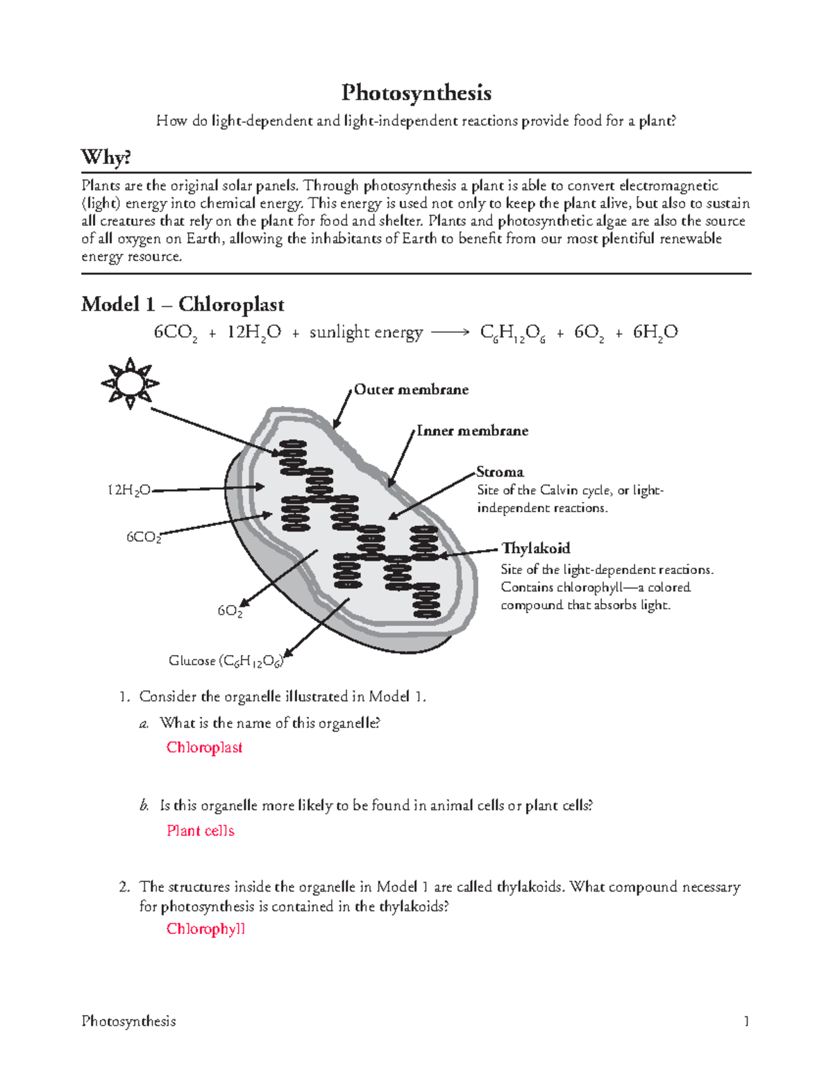 AP Biology Photosynthesis Worksheet with Answer Key - Studocu