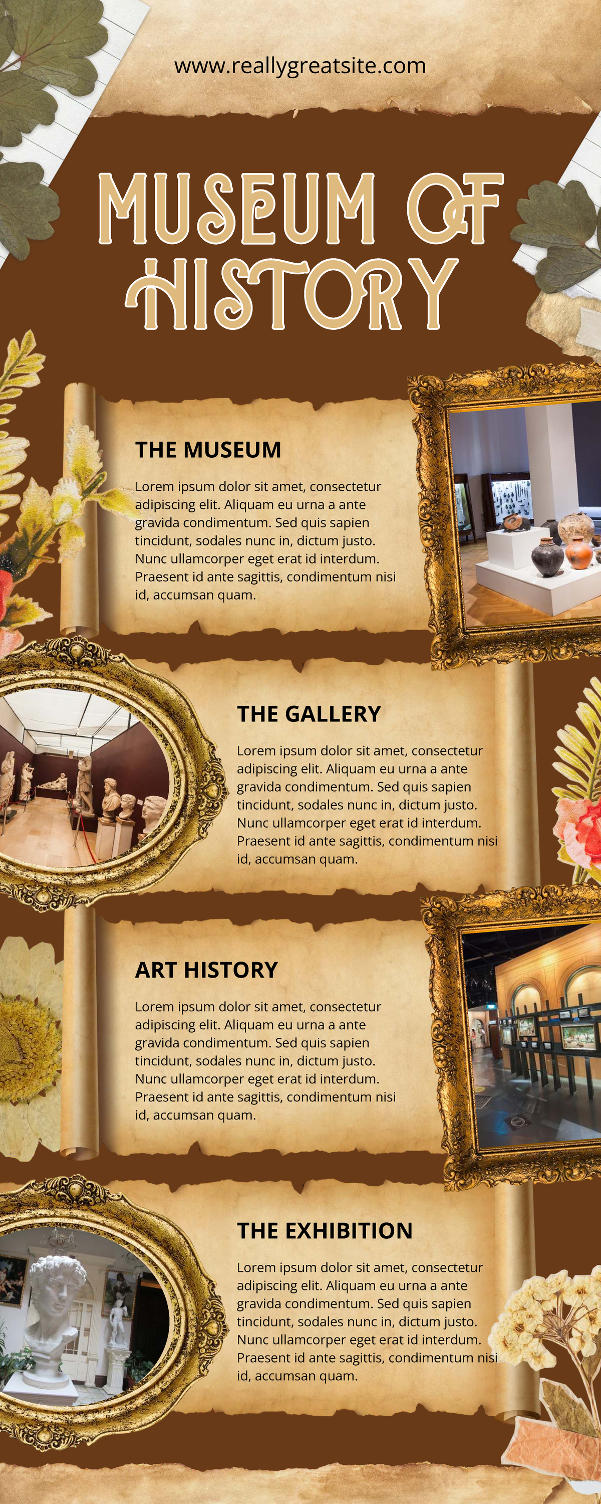 MUSEUM OF HISTORY: Infographic Overview (Course Code 20250920) - Studocu