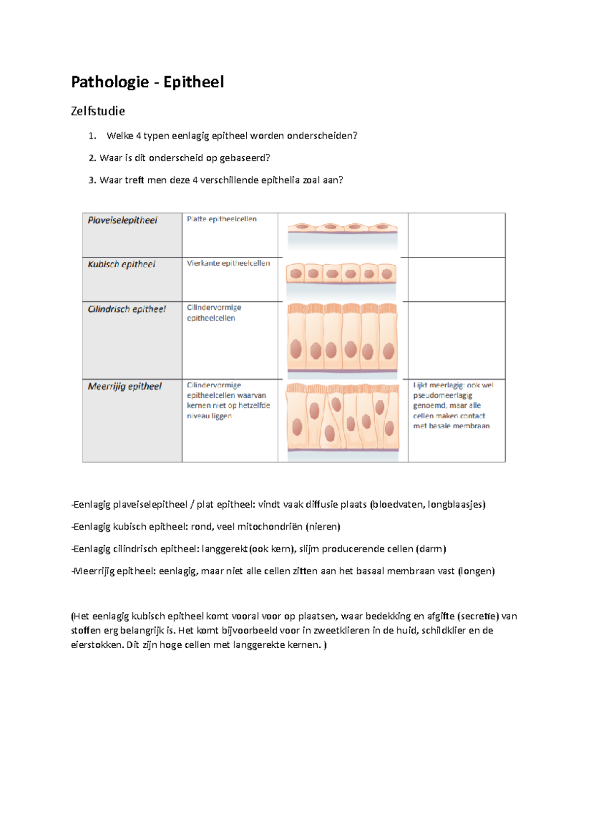 Pathologie Epitheel: Een Zelfstudie over Epitheeltypen en Functies ...