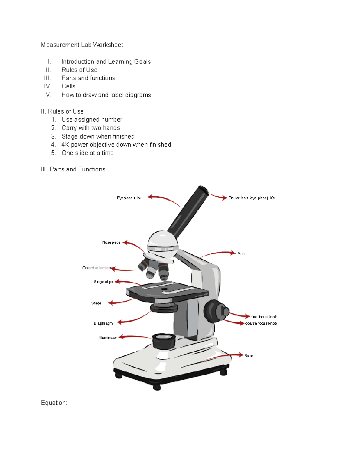 Microscopic Measurement Worksheet