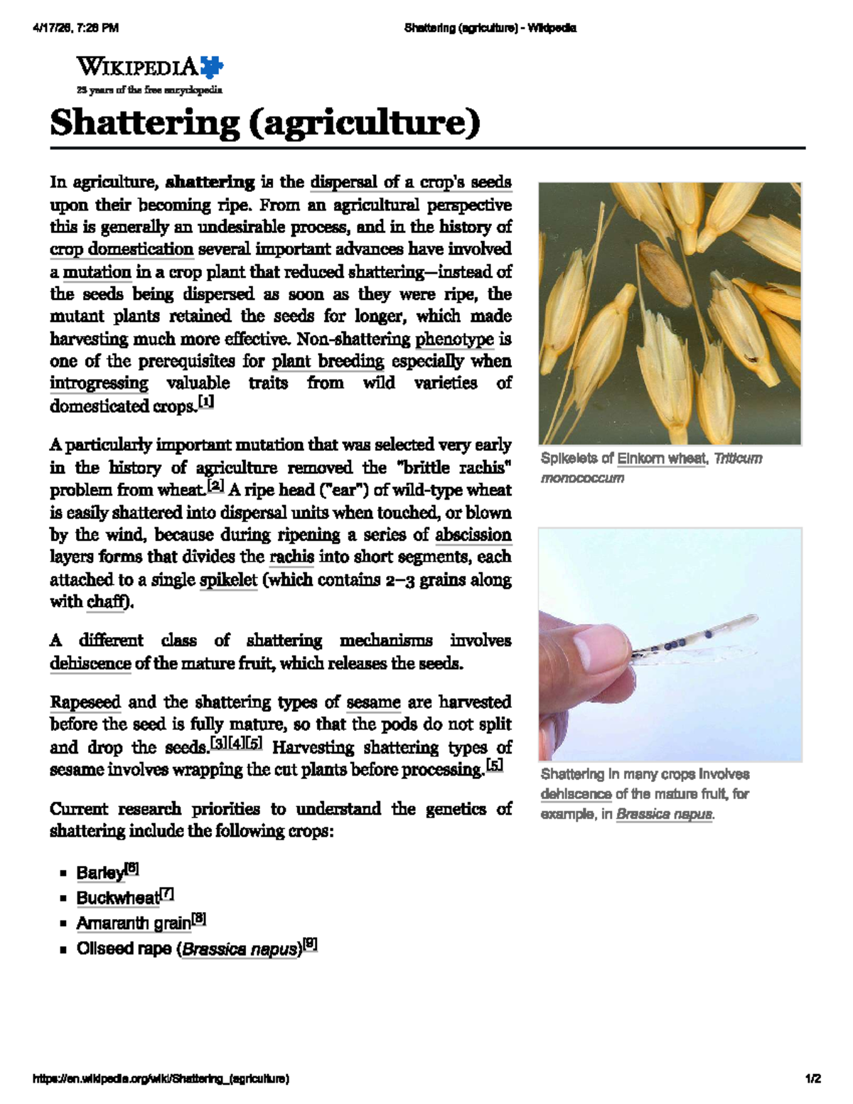 Shattering in Agriculture: Understanding Seed Dispersal Mechanisms ...