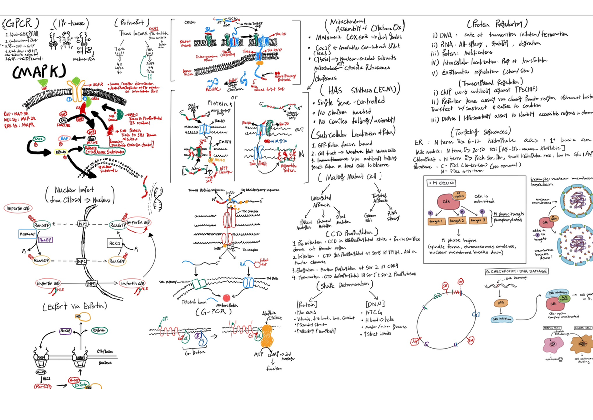 330 Biochemical Pathways Cheat Sheet for Advanced Molecular Biology ...