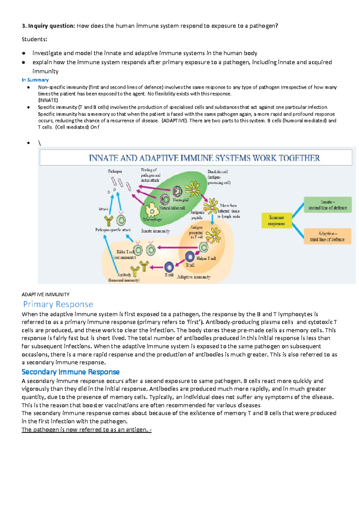 3.2 Immune System Responses: Innate & Adaptive Immunity Explained - Studocu