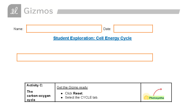 C: Student Exploration - Cell Energy Cycle Activity - Studocu
