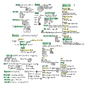 CAS #3 Création d’une base de données chez TN+ - AOT5100 - Diagramme ...