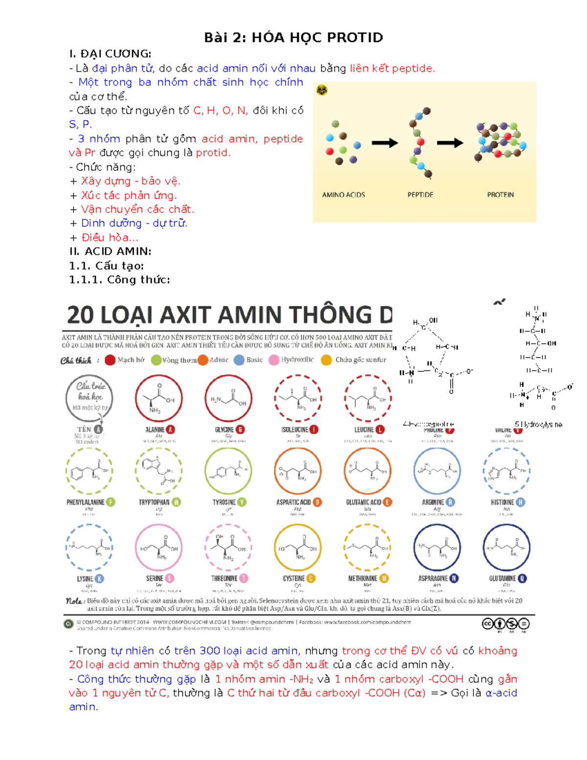 Hóa Sinh Protid: Chức Năng, Cấu Trúc và Tính Chất Của Acid Amin - Studocu