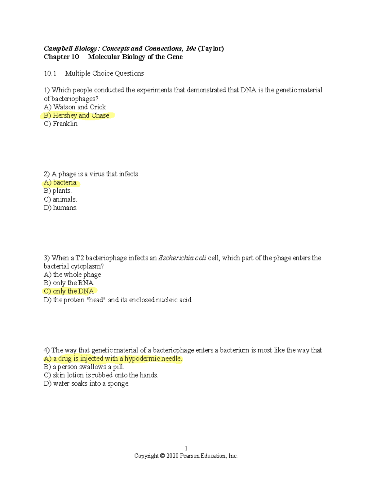 Biology 10: Molecular Biology of the Gene - Worksheet Answers - Studocu