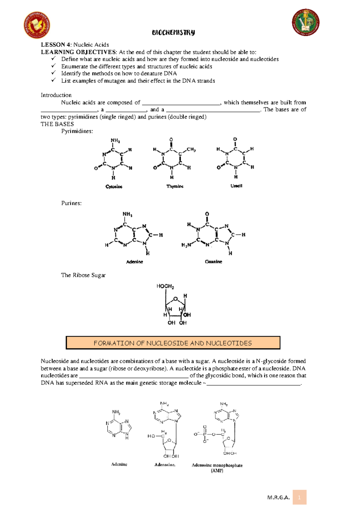 BIOCHEMISTRY LESSON 4: Nucleic Acids Overview and Key Concepts - Studocu