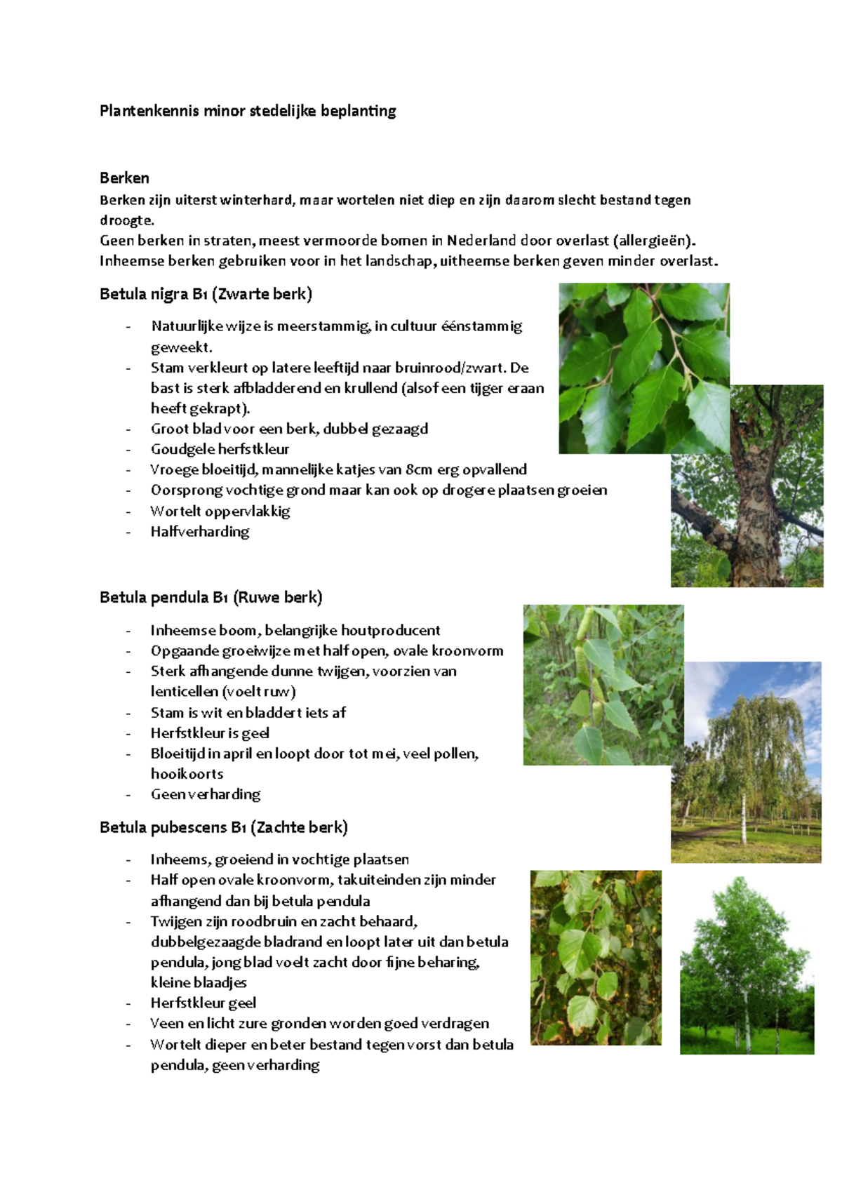 Plantenkennis Minor Stedelijke Beplanting: Inheemse en Uitheemse Bomen ...