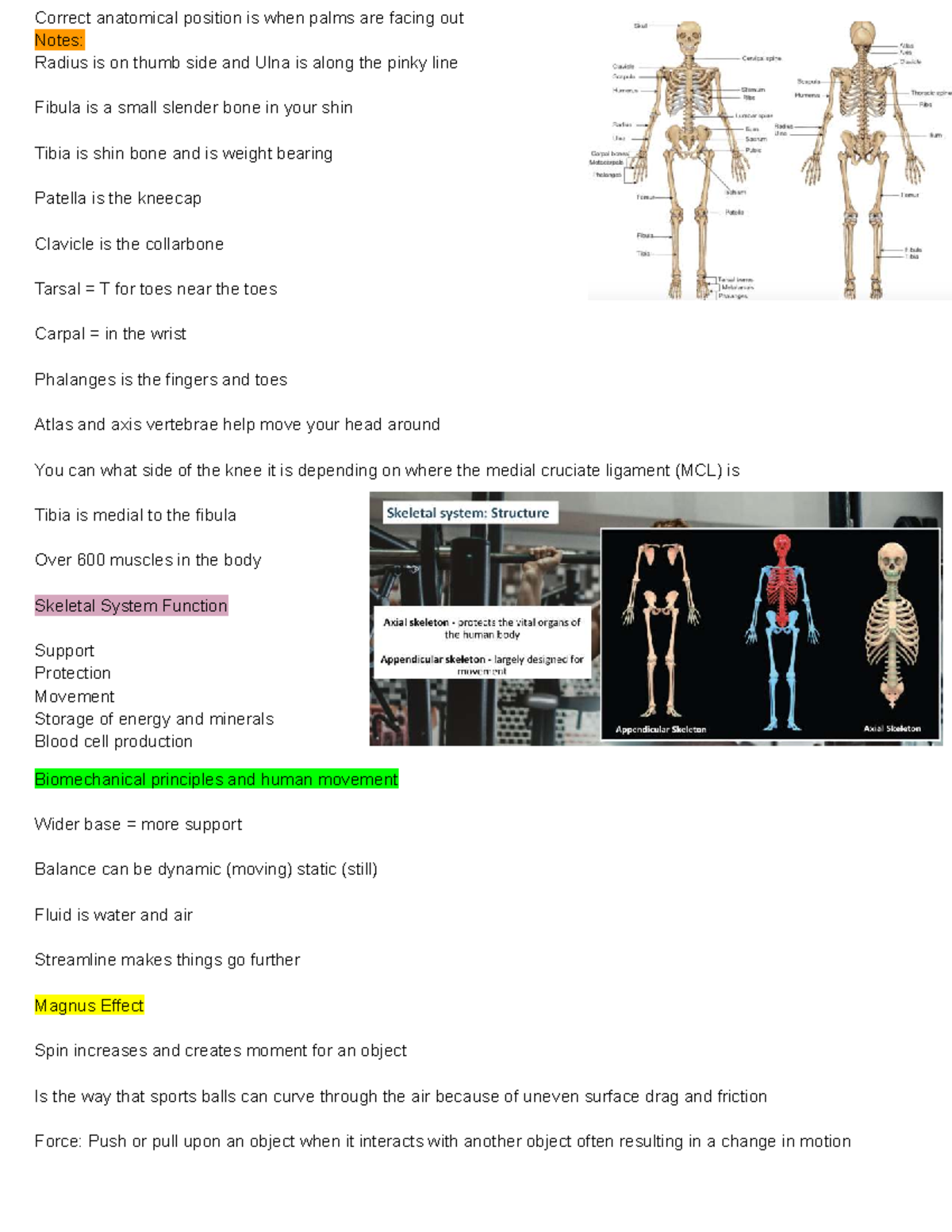 HMS 101: Comprehensive Notes on Human Anatomy and Movement - Studocu