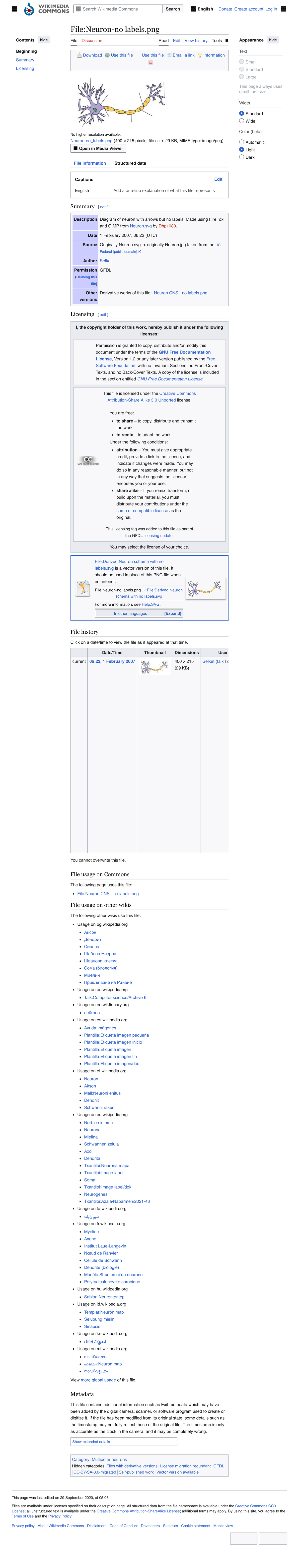 Neuron Diagram Without Labels - File Neuron-no labels.png - Studocu