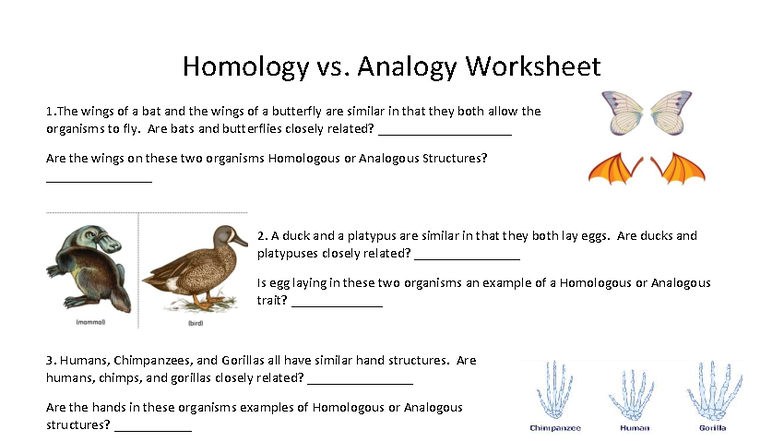 Homologous vs. Analogous Structures Worksheet (Bio 101) - Studocu