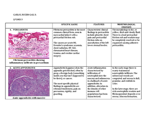 Anaphy(LAB) M5-M9 - M5-M9 - Module 2 E5: Muscular System Structure of a ...
