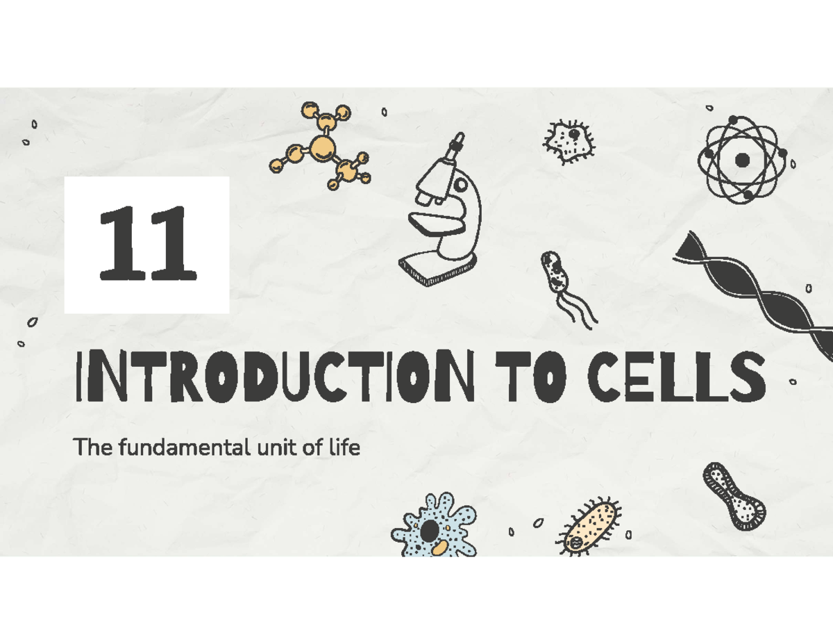 Introduction to Cells and Microscopy: Lecture Notes - Studocu