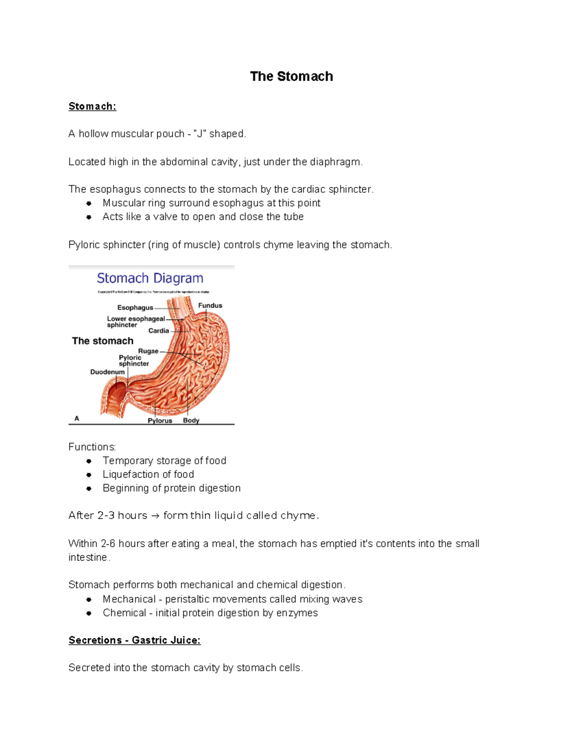 5 Digestive System - Overview of Stomach Functions and Secretions - Studocu
