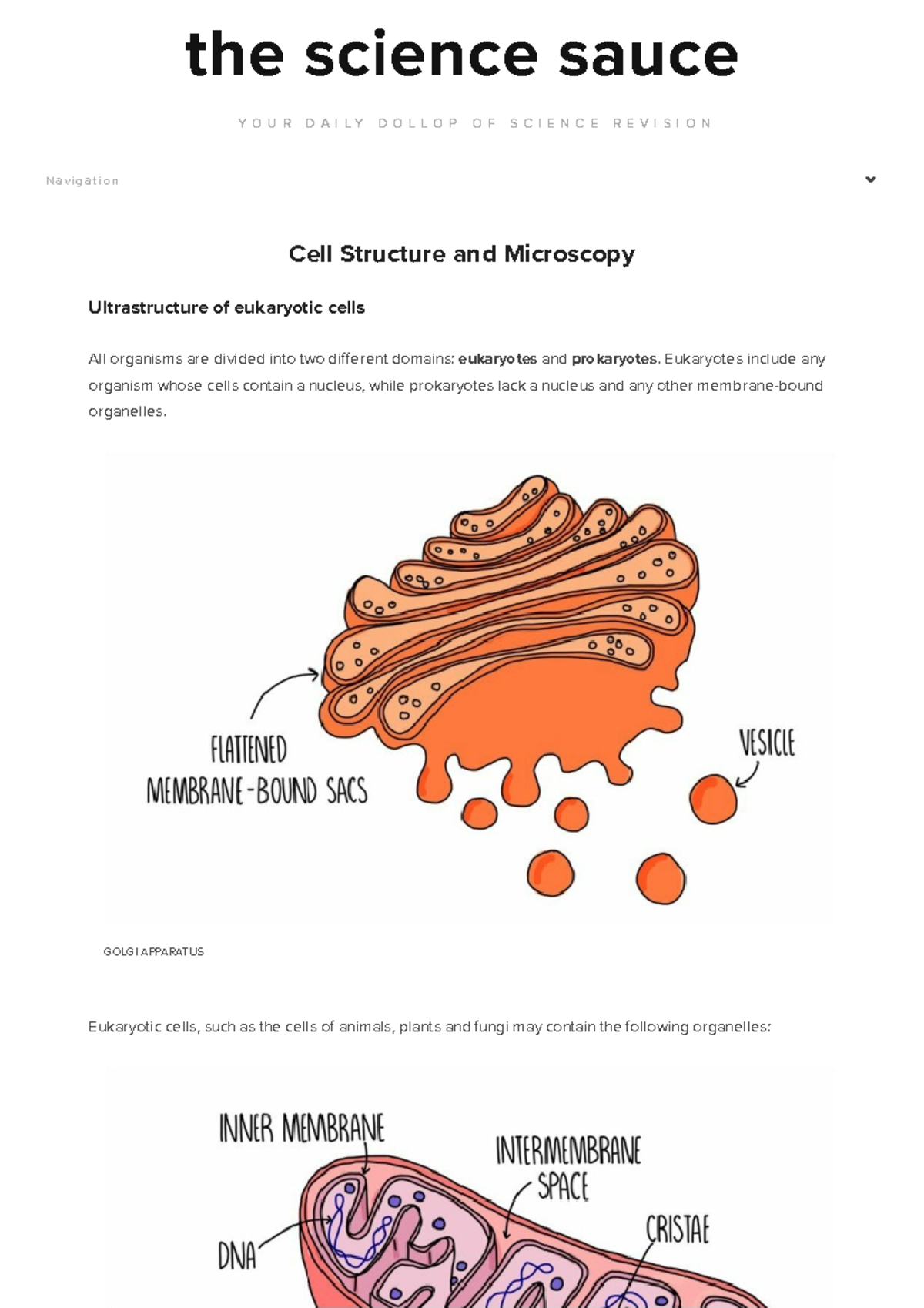 Biology specification notes topic 2 - the science sauce Y O U R D A I L ...