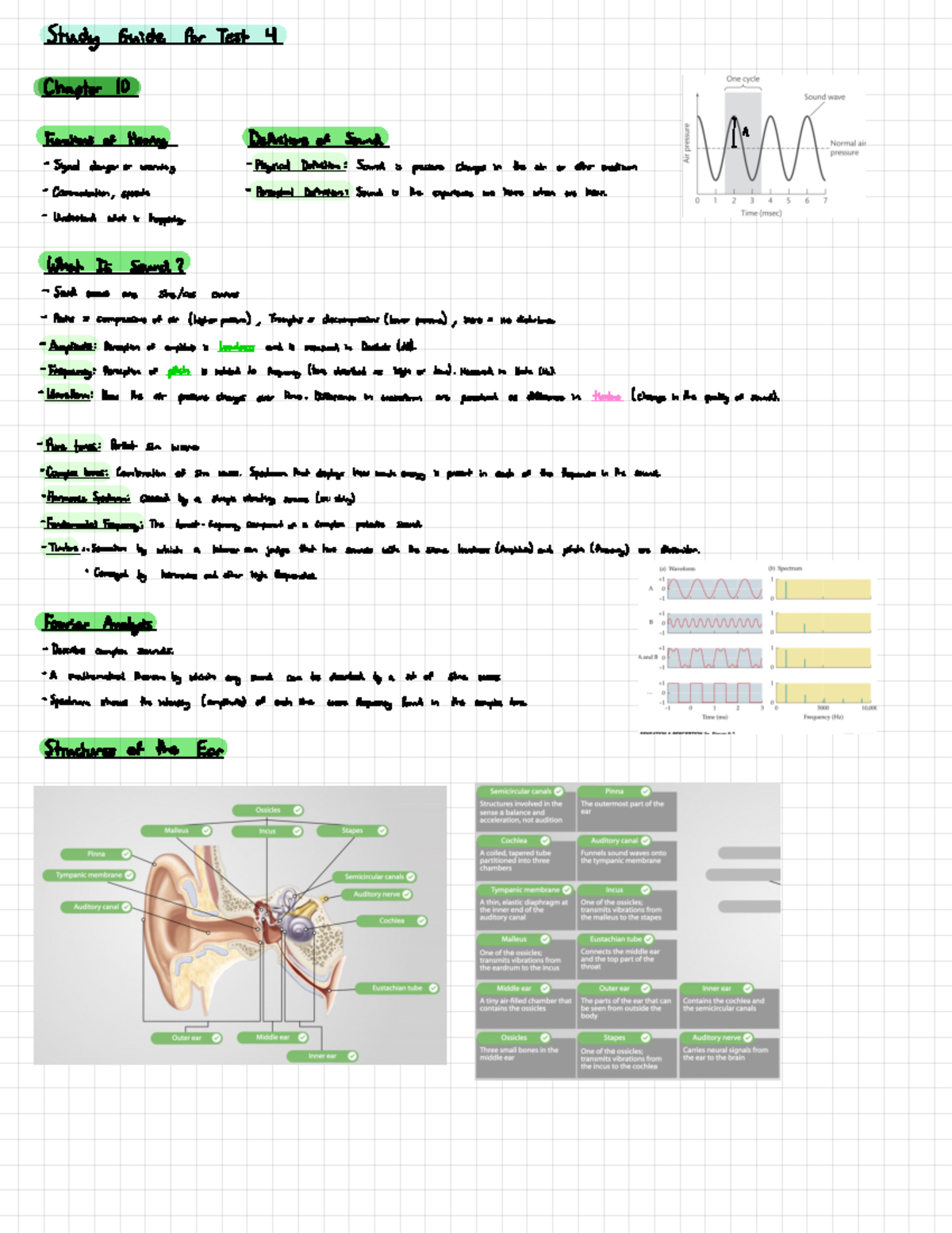 Study Guide for Hearing Test 4: Sound Wave Characteristics & Processing ...