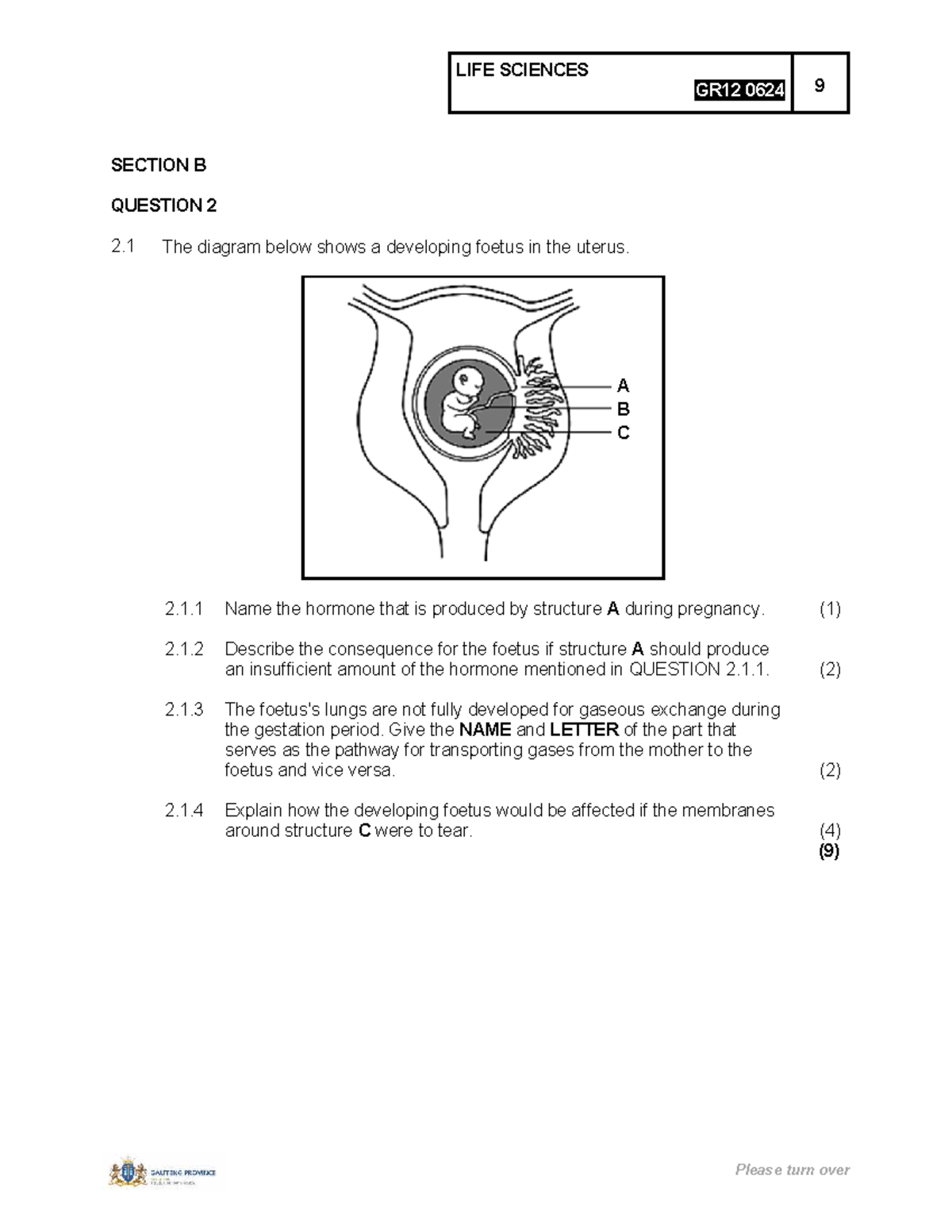 LIFE SCIENCES GR12 0624 Human Reproduction Study Guide 2024 - Studocu