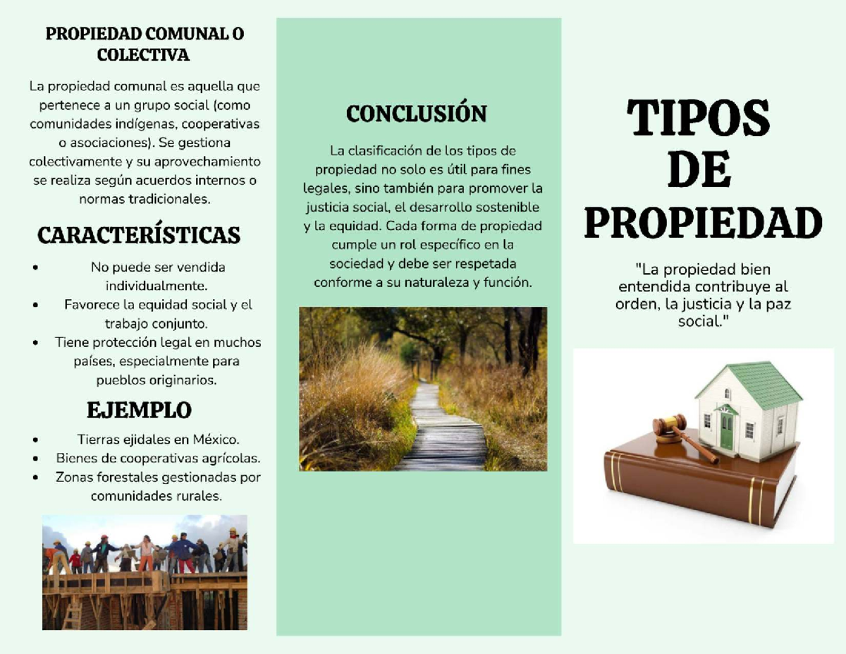 Tipos de Propiedad Comunal y Colectiva: Análisis y Ejemplos - Studocu