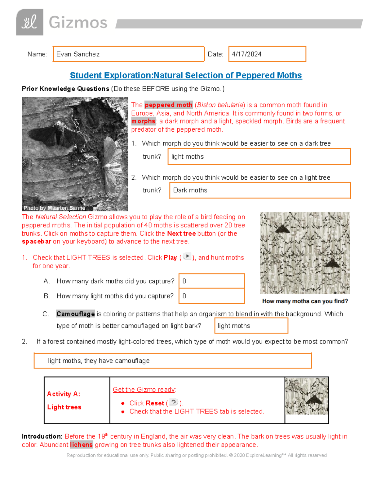 Natural Selection Study: Peppered Moths Gizmo Exploration - Studocu