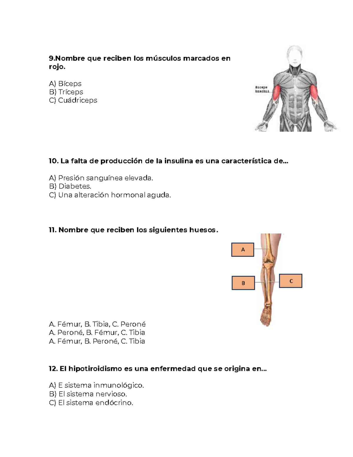 2DA Parte, Exani Premedicina - 9 que reciben los músculos marcados en ...