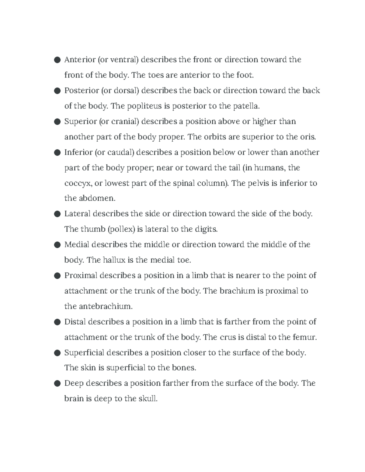 Anatomical Position - notes for anaphy - Anterior (or ventral ...