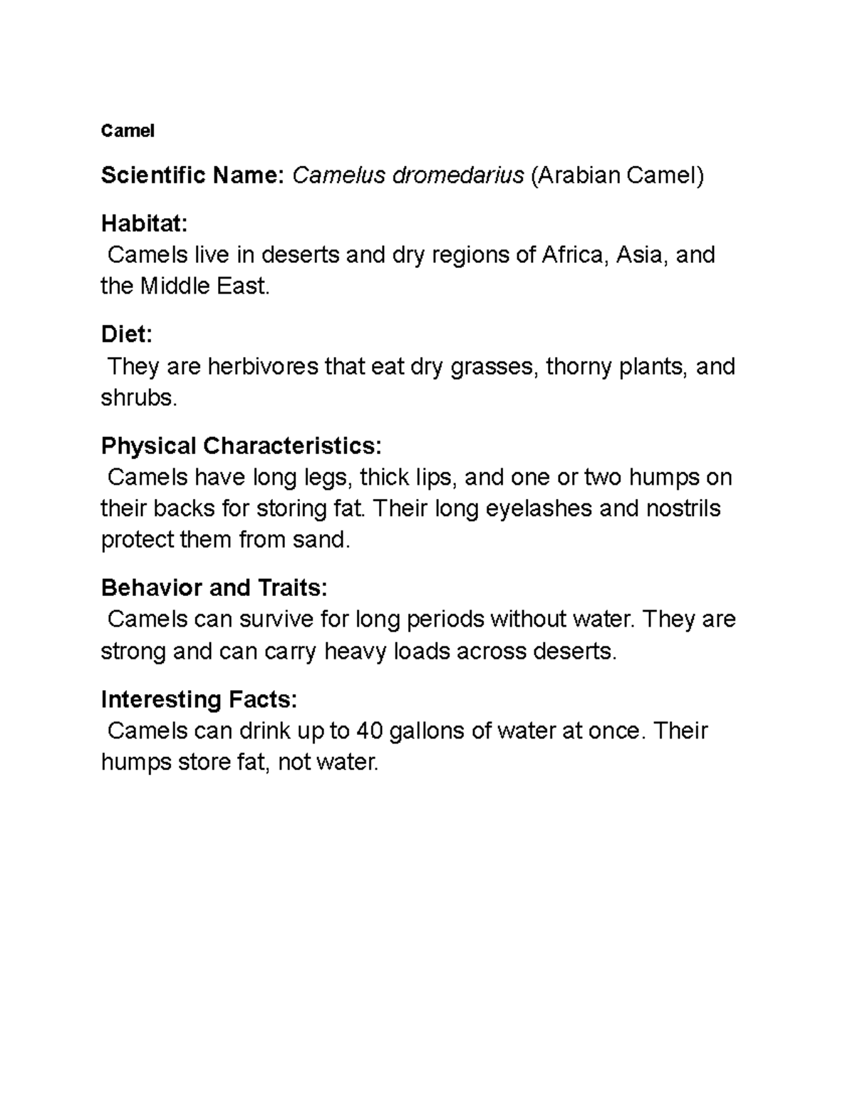 Camel - veterinary - Camel Scientific Name: Camelus dromedarius ...