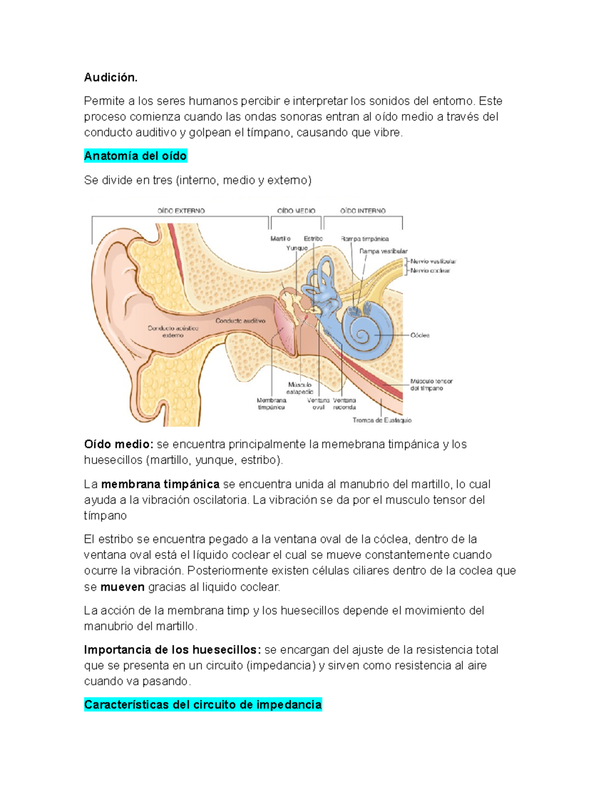 Sentido DE LA Audicion - Resumen Tratado de fisiologia Medica ...